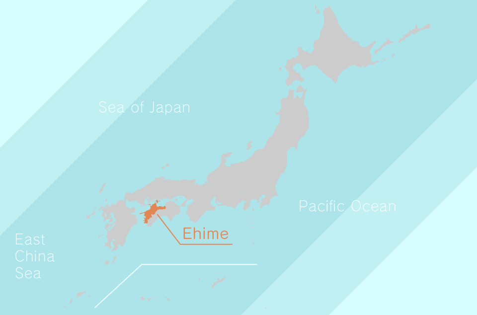 About Ehime-ken | 日本留学ナビ