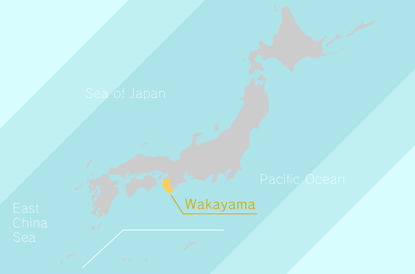 About Wakayama-ken | 日本留学ナビ
