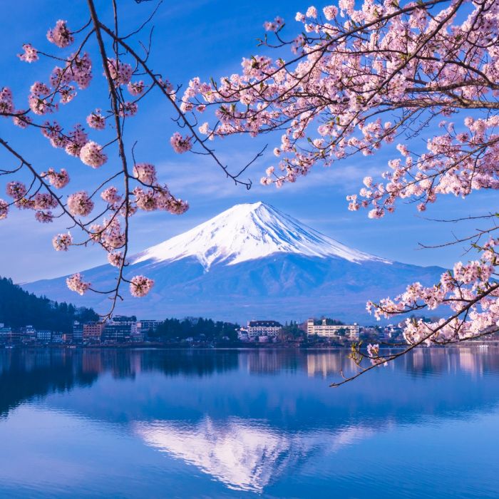日本留学ナビTOP | 日本留学ナビ